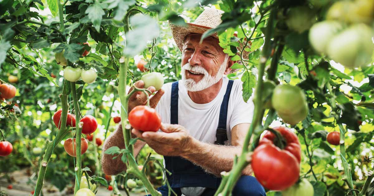 Accessing Your Super in Retirement | NGS Super