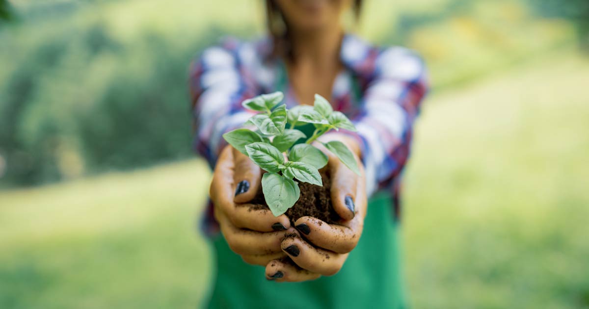 Superannuation: Planning for Retirement | NGS Super